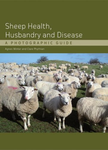 Sheep Health, Husbandry and Disease: A Photographic Guide | VetBooks