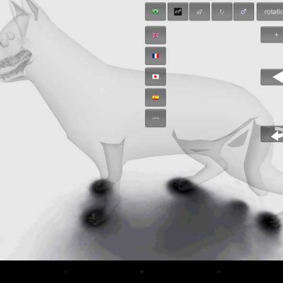 3D Dog Anatomy: Android App | VetBooks