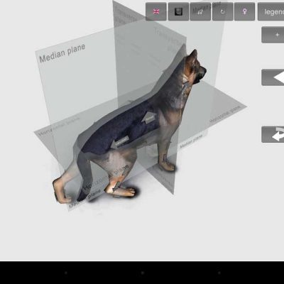 3D Dog Anatomy: Android App | VetBooks