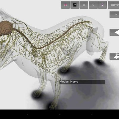 3D Dog Anatomy: Android App | VetBooks