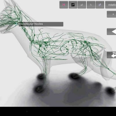 3D Dog Anatomy: Android App | VetBooks